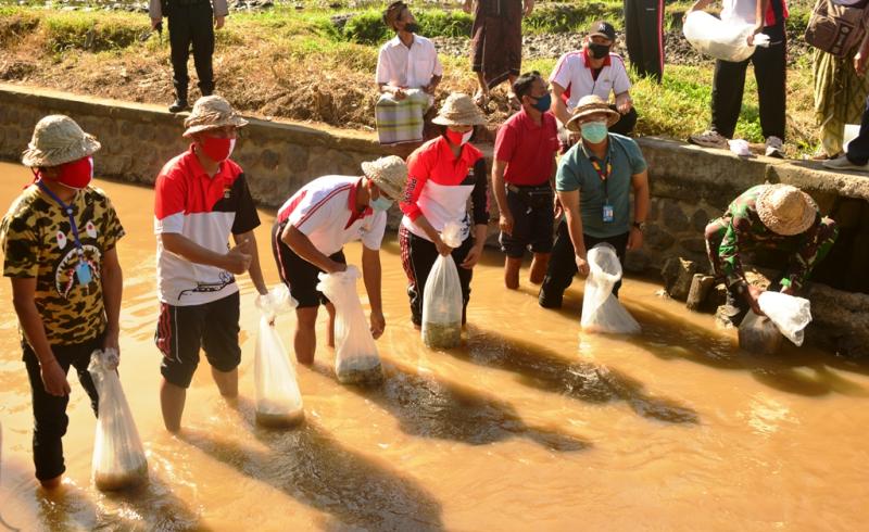 Wujudkan Kedaulatan Pangan di Tengah Pandemi Covid-19, Pemkab Badung ... Wujudkan Kedaulatan Pangan di Tengah Pandemi Covid-19, Pemkab Badung ...