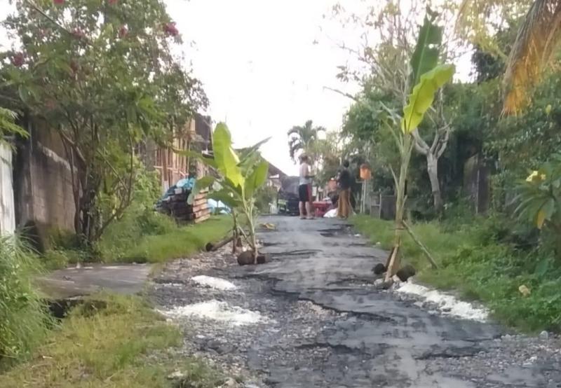 Kecewa Jalan Rusak Tak Kunjung Diperbaiki, Warga Tanam Pohon Pisang di ...
